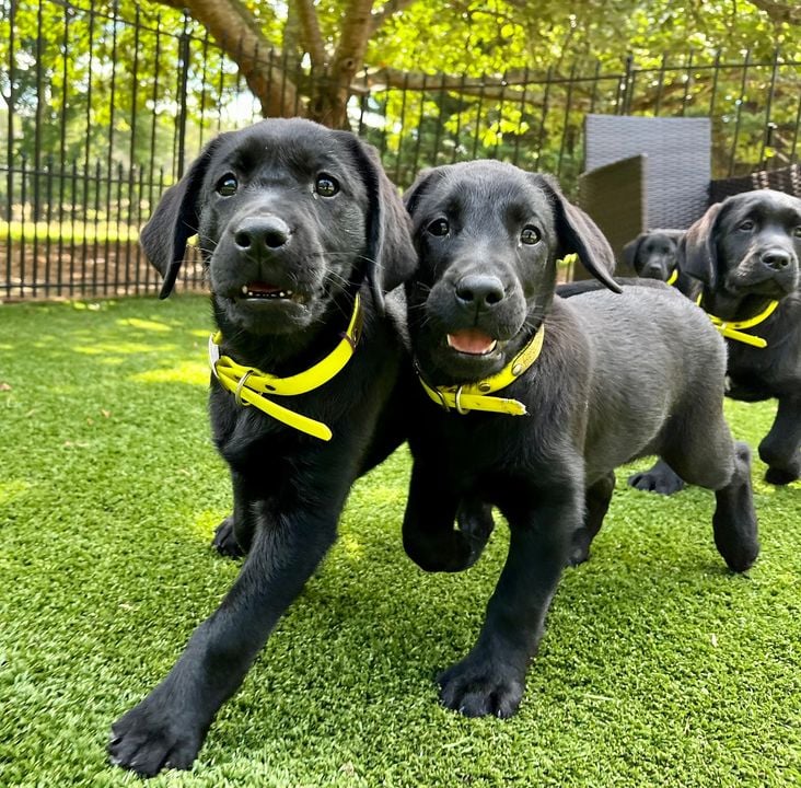 Contact Us | Connect with Project 2 Heal